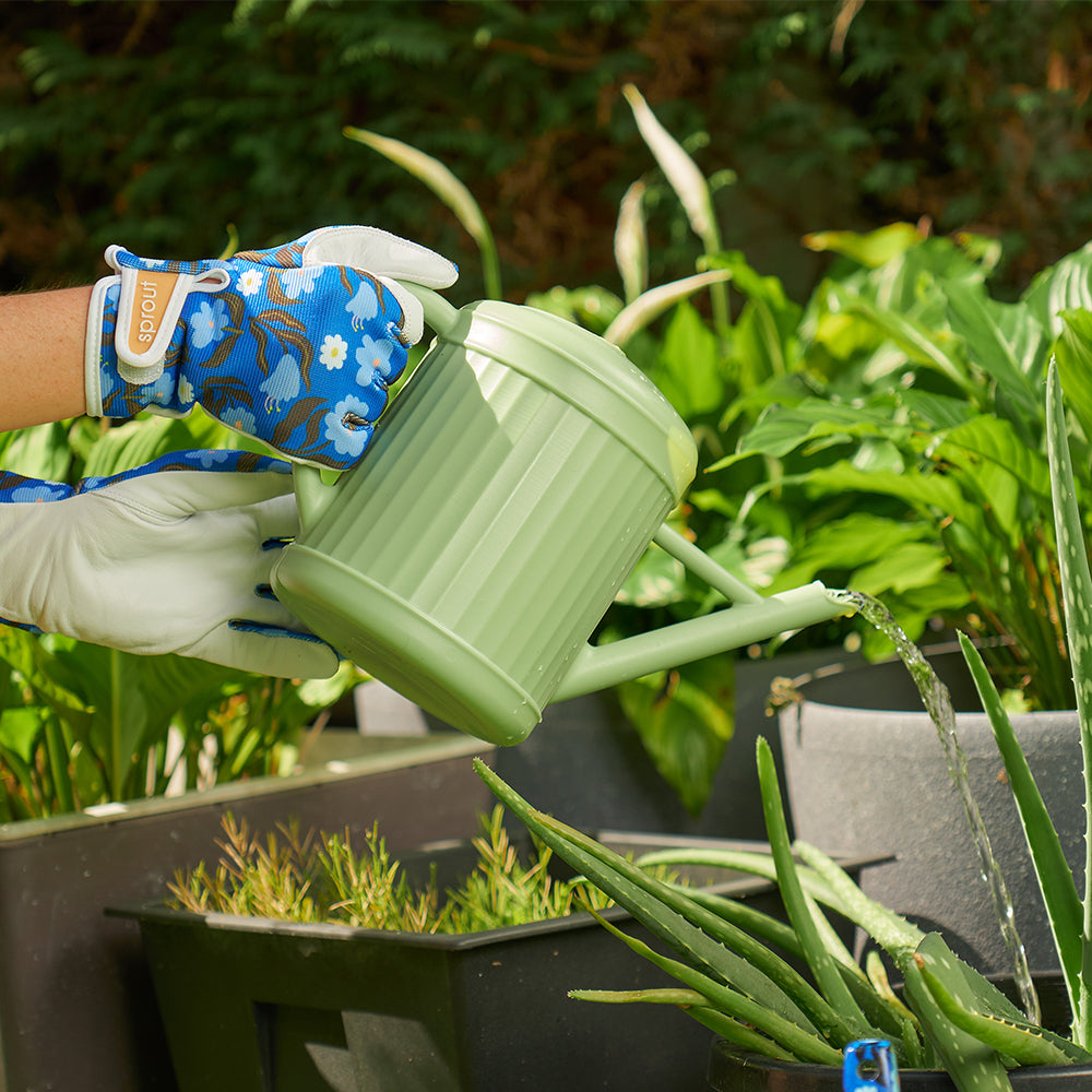 Watering Can - Sage