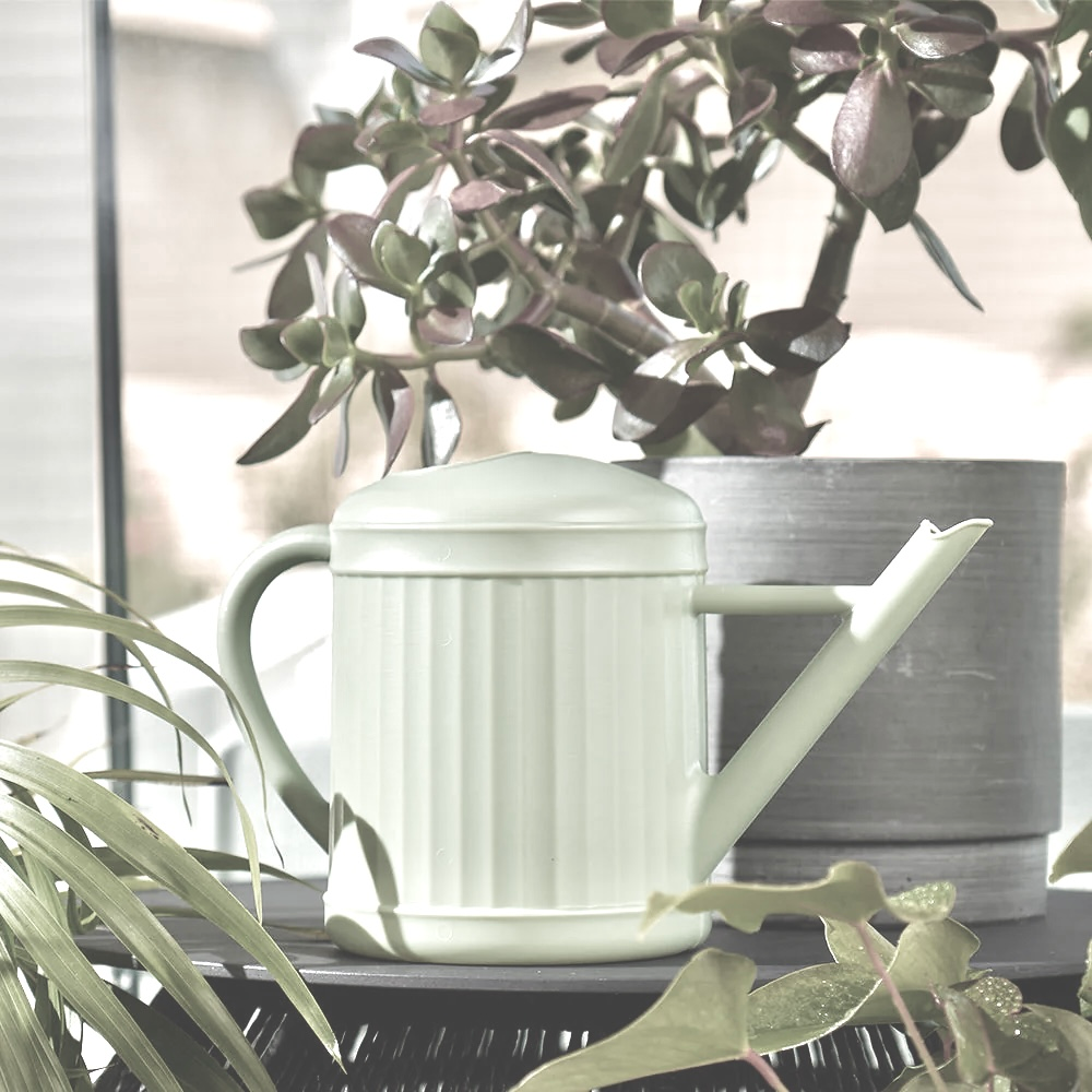 The Grace Collection Australia | Homewares, Gifts & Women's Clothing