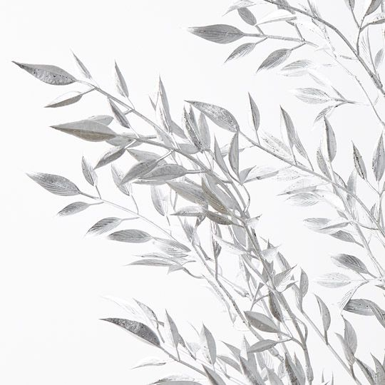 Ruscus Metallic Spray - Silver
